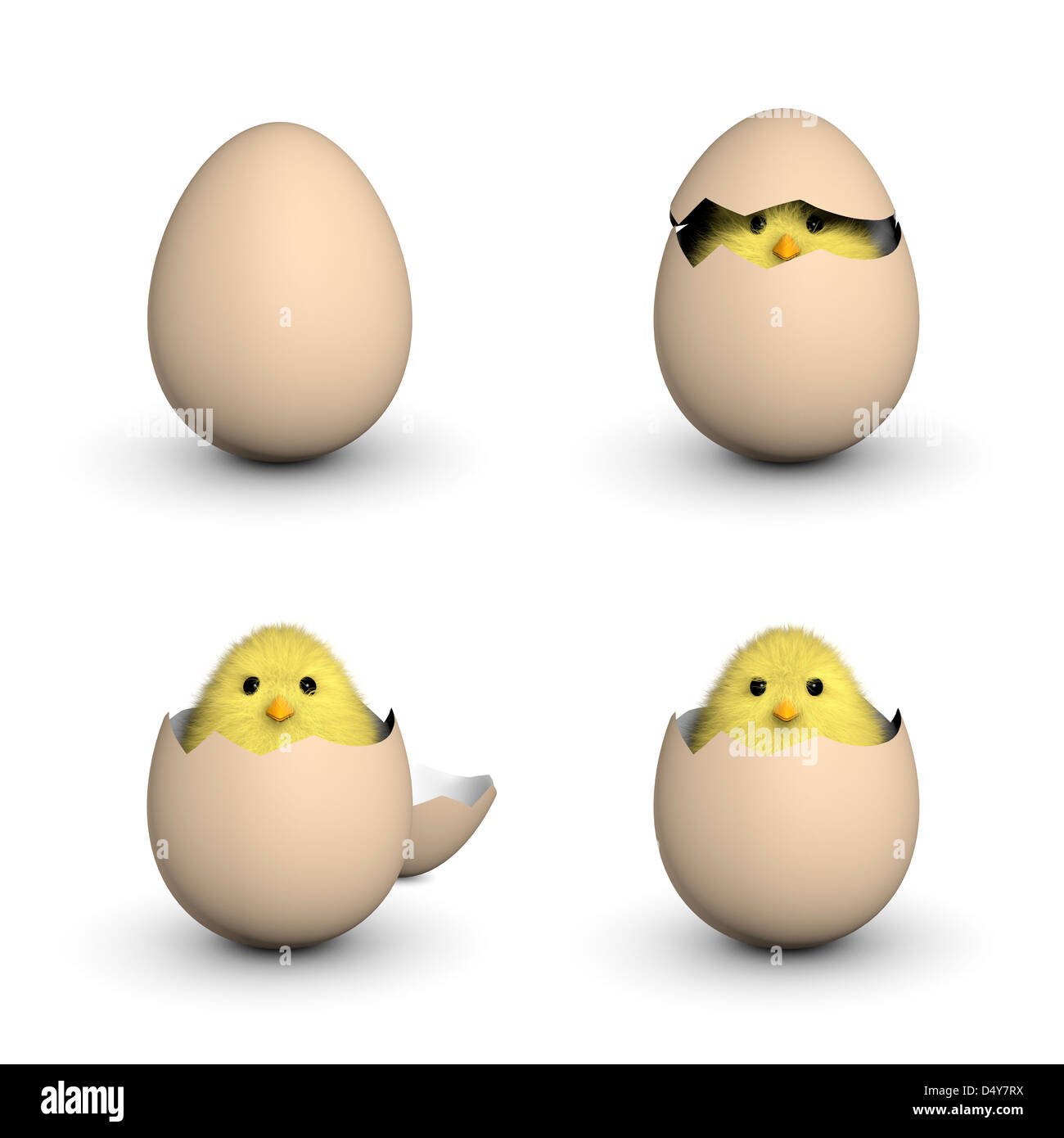 A fluffy yellow chick peeking out of an egg shell (3D render Stock ...