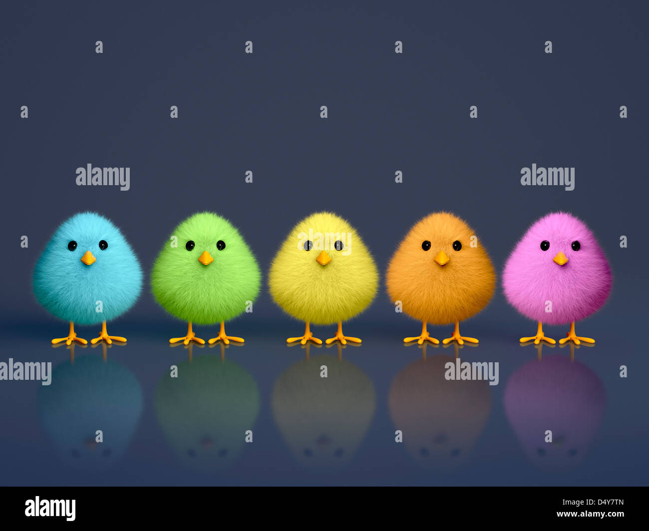 Rainbow of chicks hi-res stock photography and images - Alamy