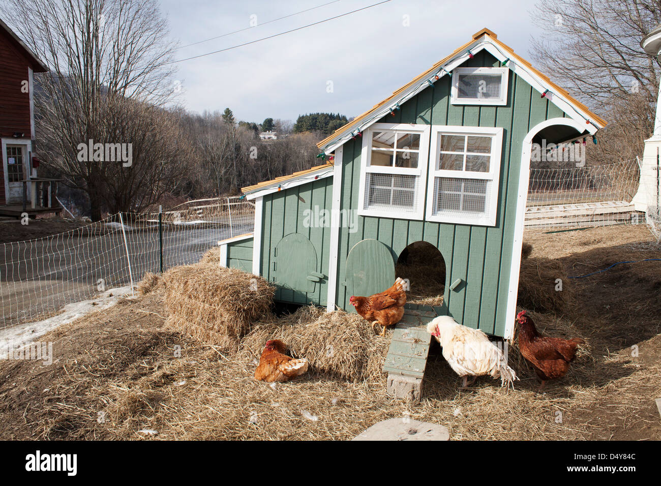 Chicken house hi-res stock photography and images - Alamy