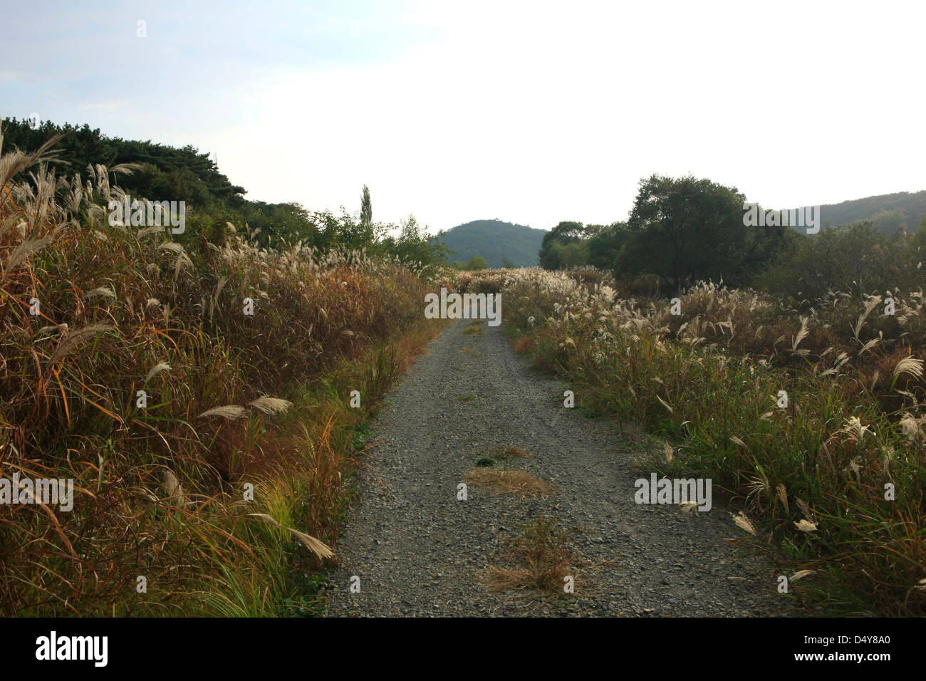 Silver point road hi-res stock photography and images - Alamy