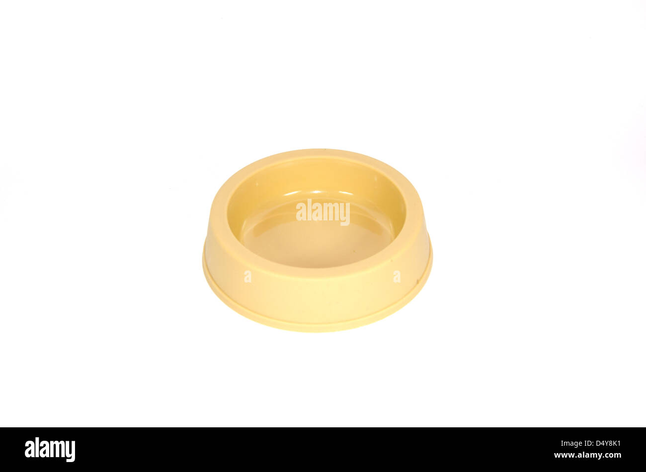 Cat bowl isolated white background Stock Photo - Alamy