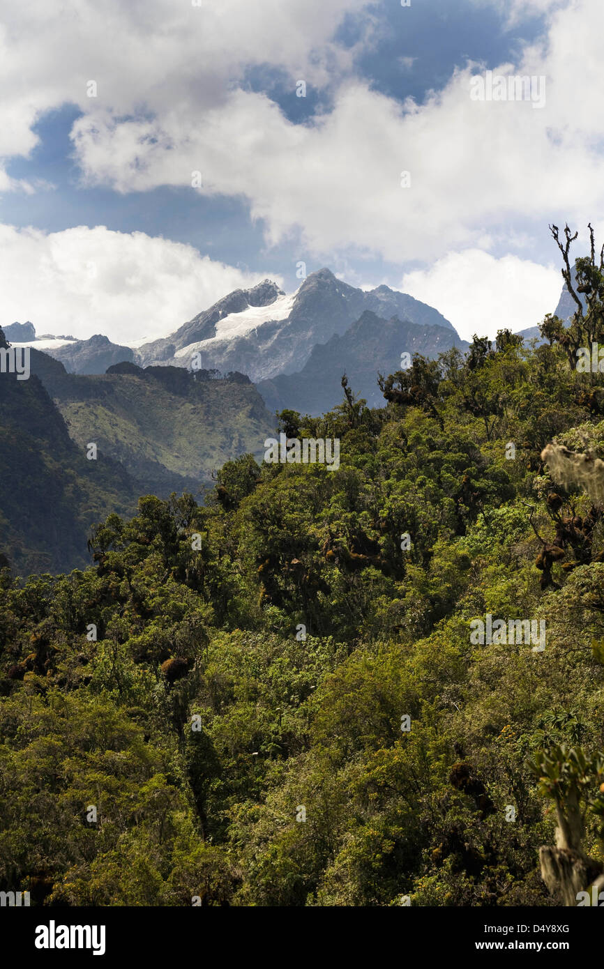 Mount Stanley, Rwenzori, Uganda Stock Photo - Alamy