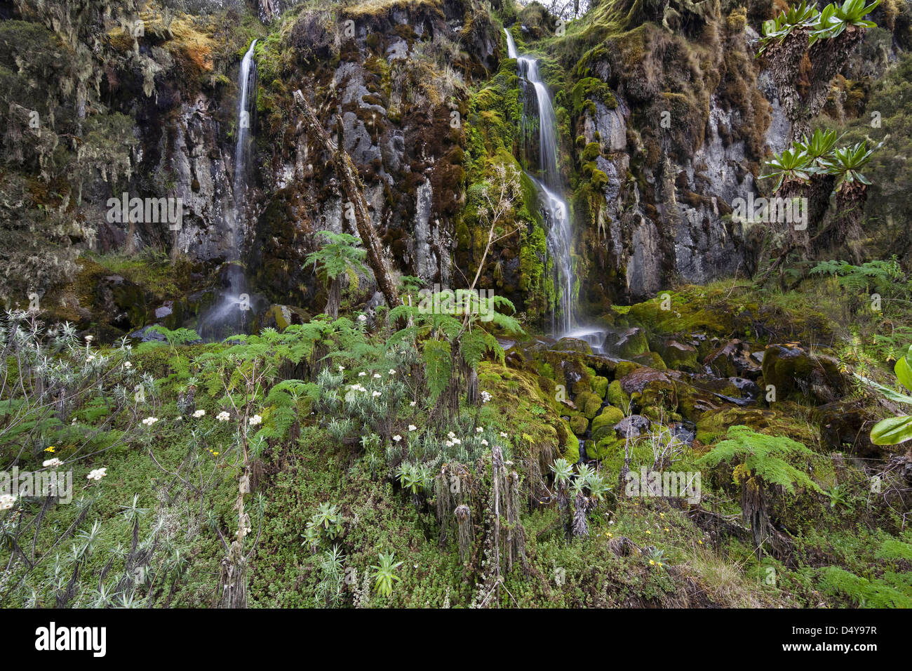 Mogusu hi-res stock photography and images - Alamy