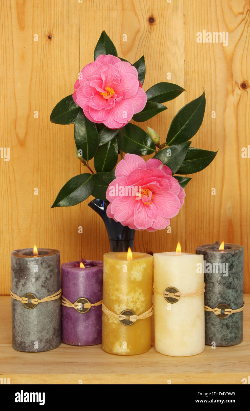Camellia flowers and foliage with burning Feng Shui candles against a ...