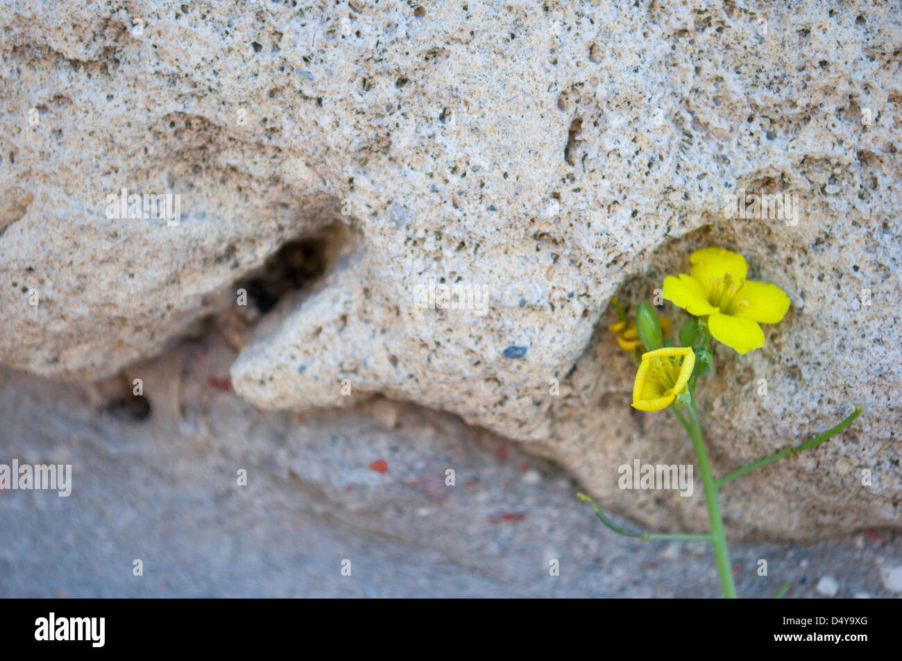Lonely stone block hi-res stock photography and images - Alamy