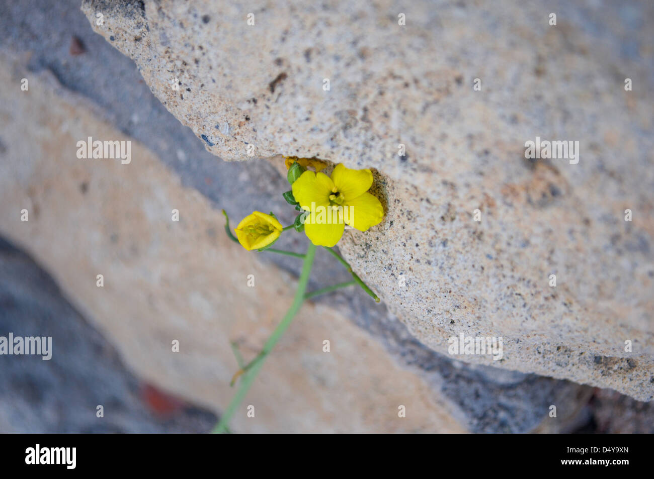 Lonely stone block hi-res stock photography and images - Alamy