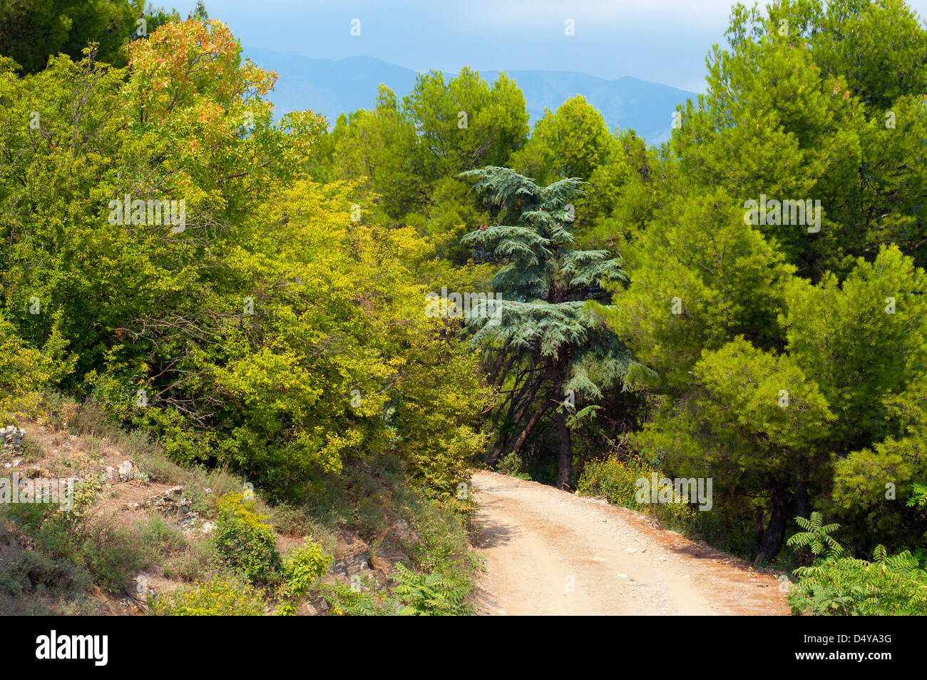 Crimea landscape mountains hi-res stock photography and images - Alamy