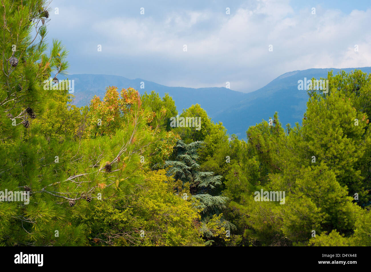 Crimea landscape mountains hi-res stock photography and images - Alamy