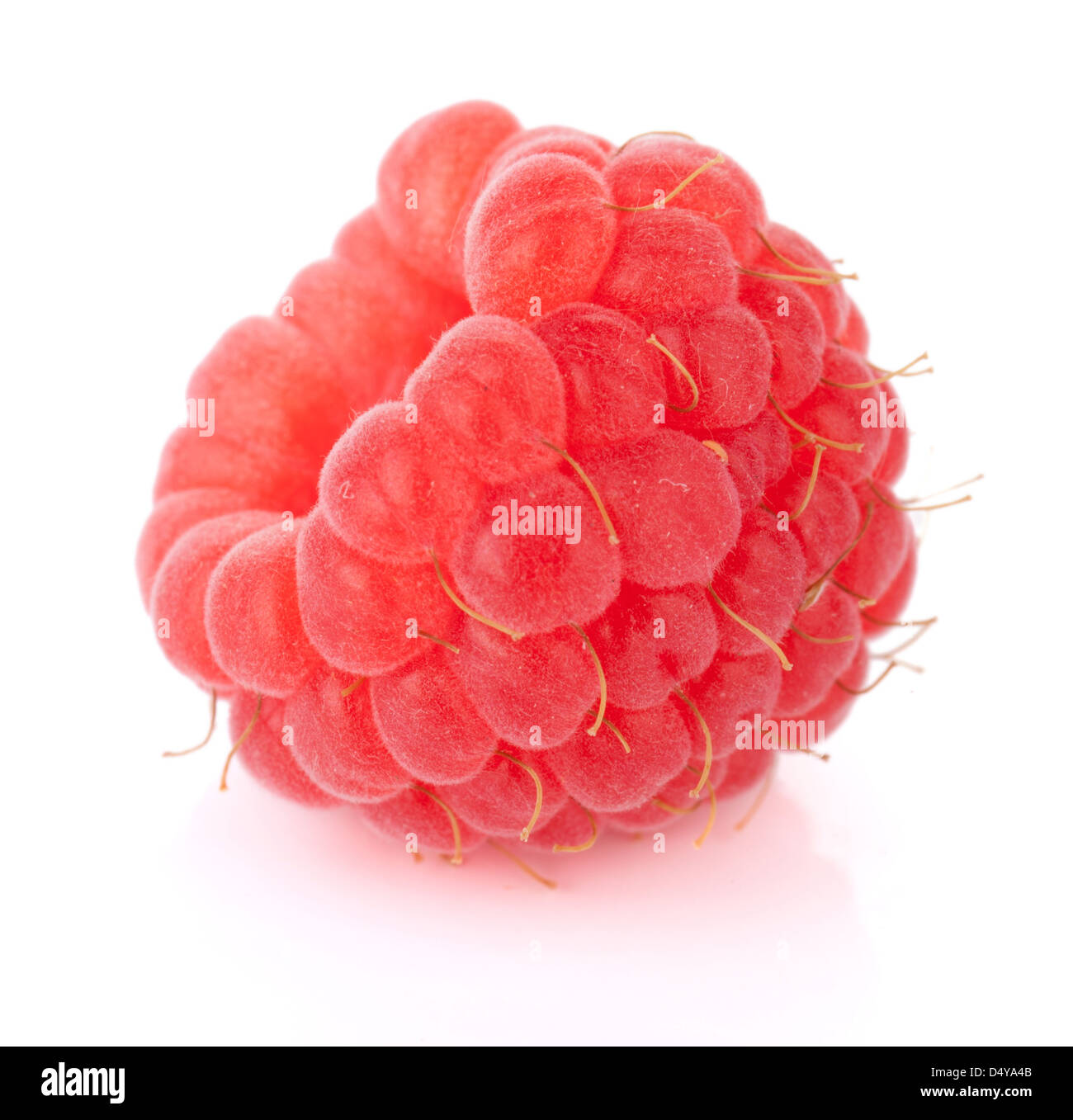 Fresh raspberry macro. Isolated on white background Stock Photo - Alamy