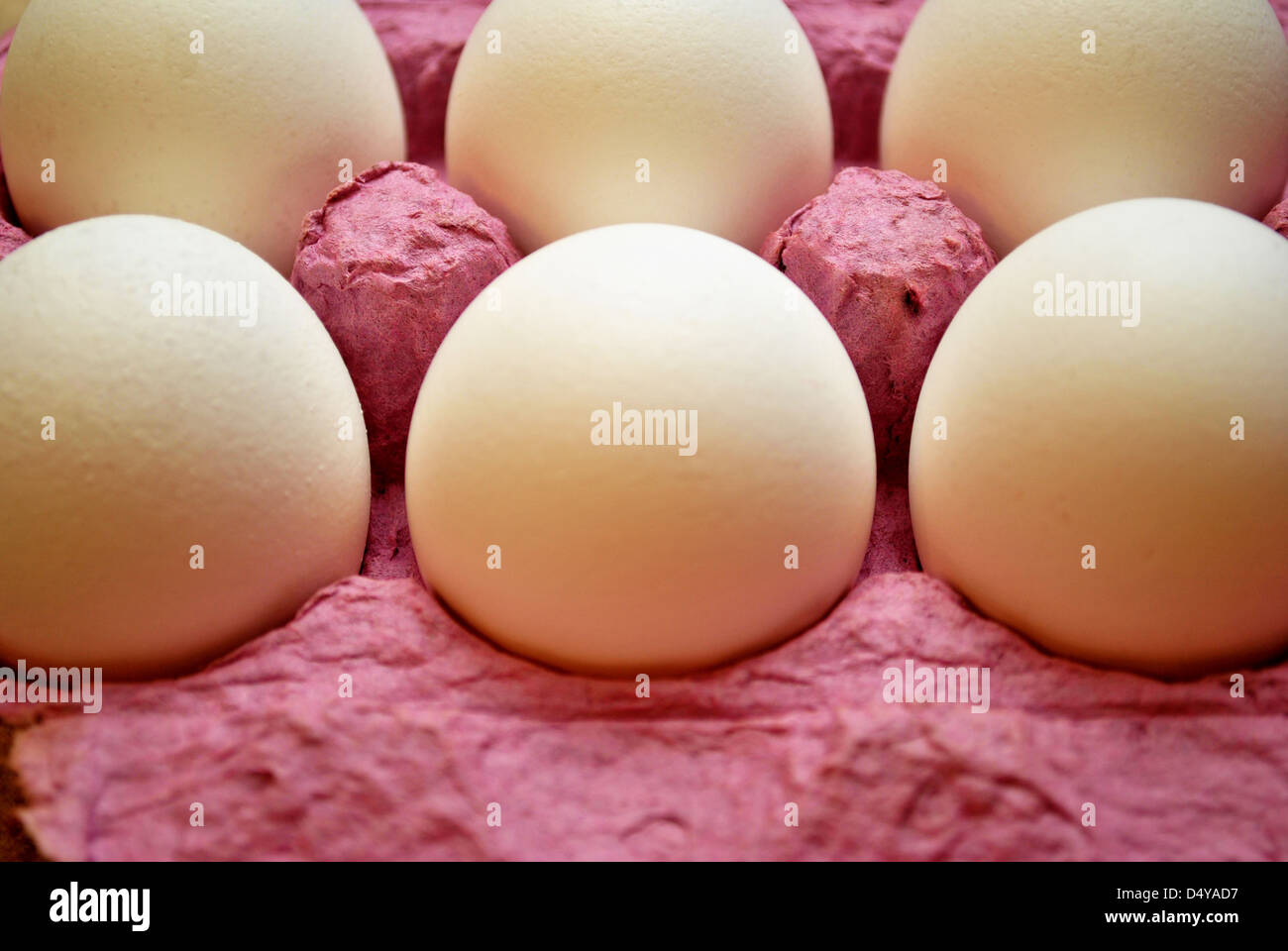 Packaged eggs hi-res stock photography and images - Alamy