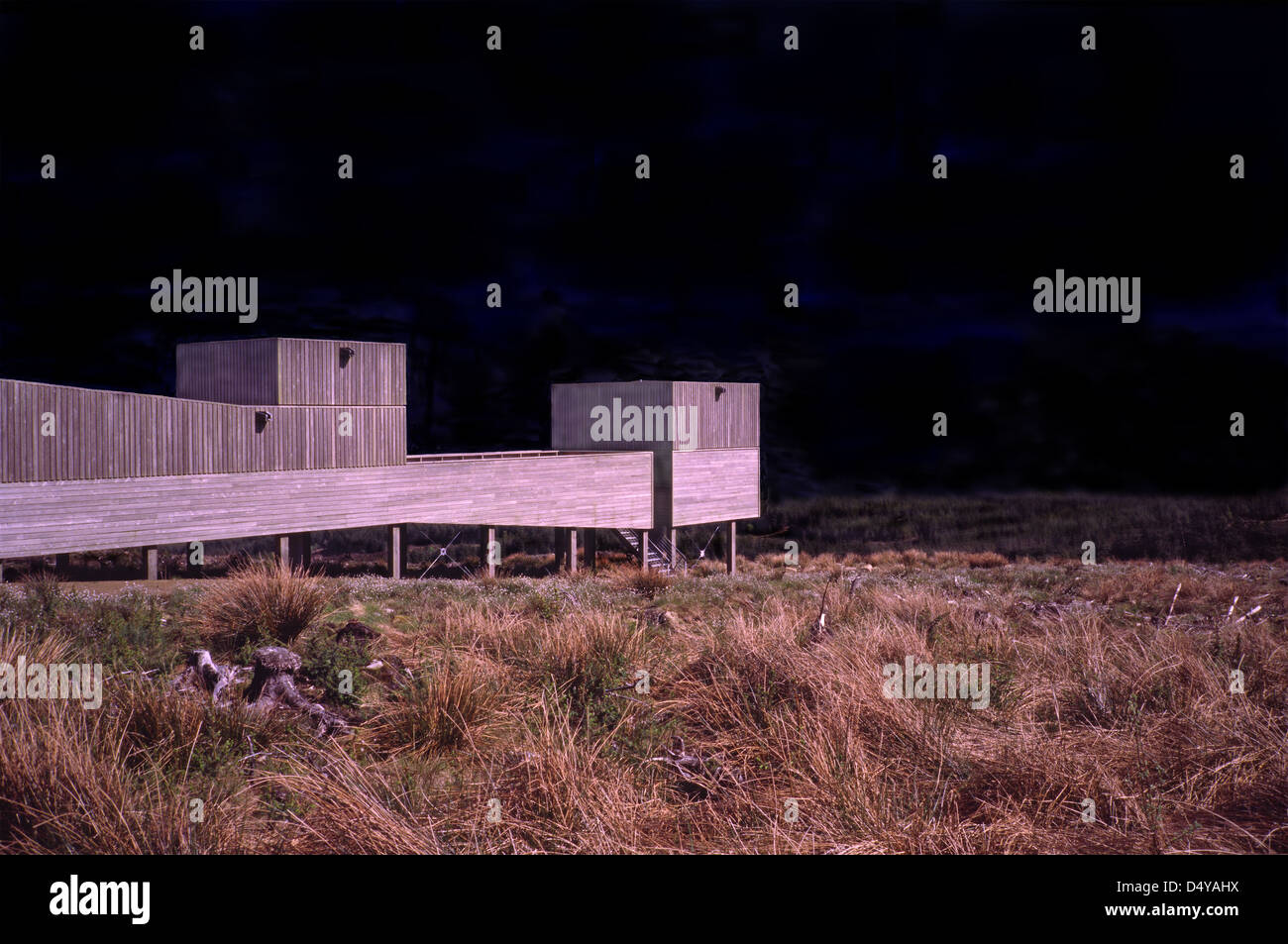 Kielder forest sky night hi-res stock photography and images - Alamy