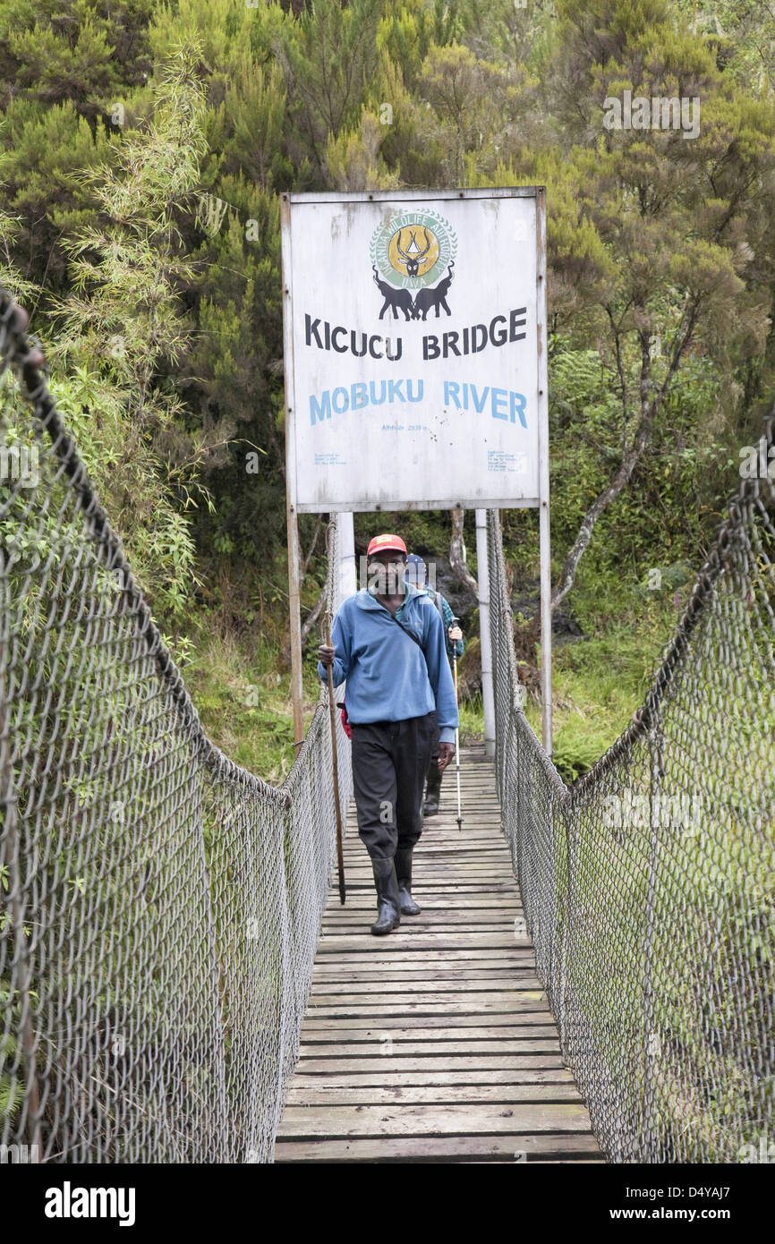 The Kicucu Bridge over the River Mobuku, Ruwenzori, Uganda Stock Photo ...