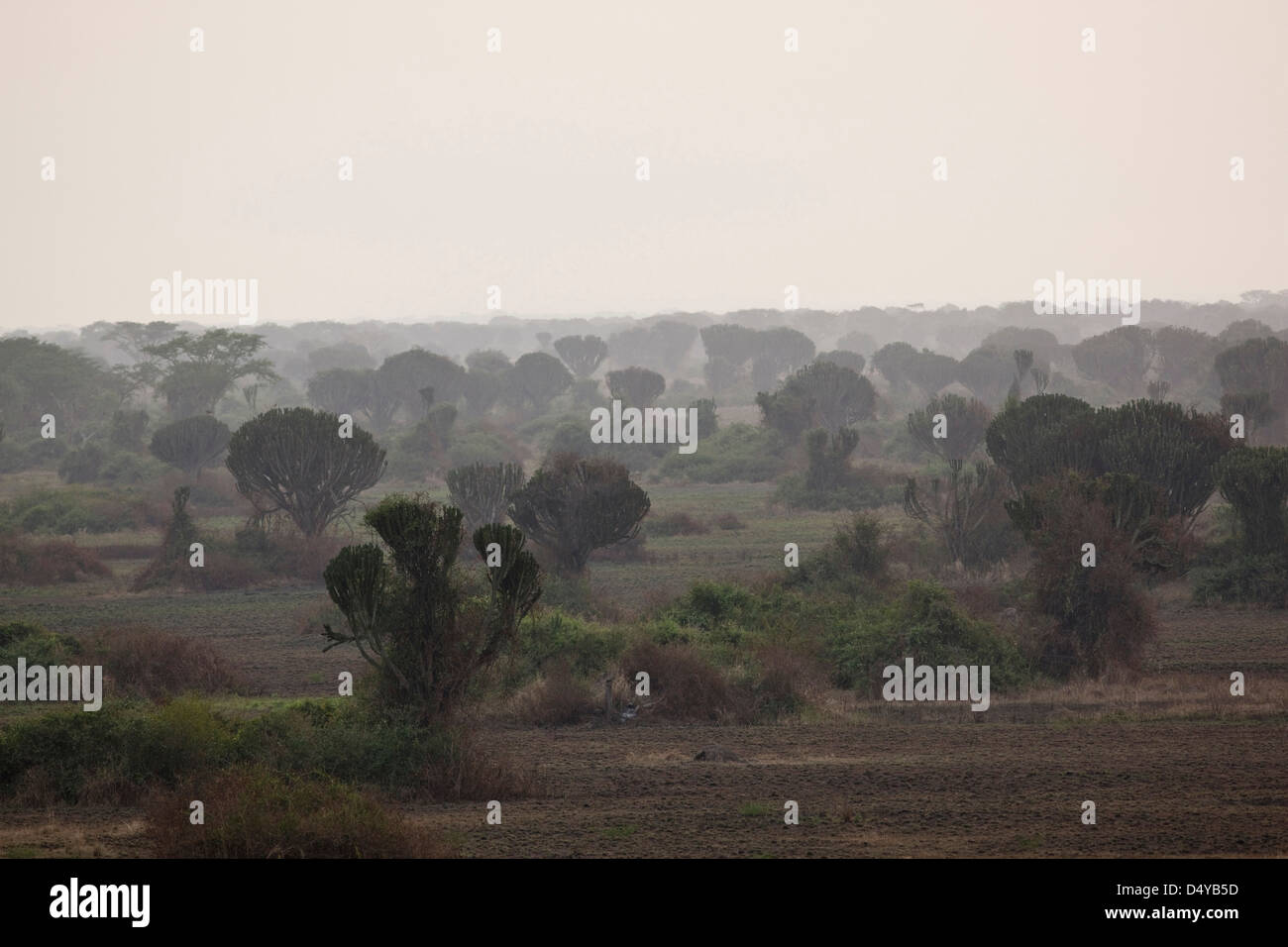 Queen elizabeth national park albertine hi-res stock photography and ...