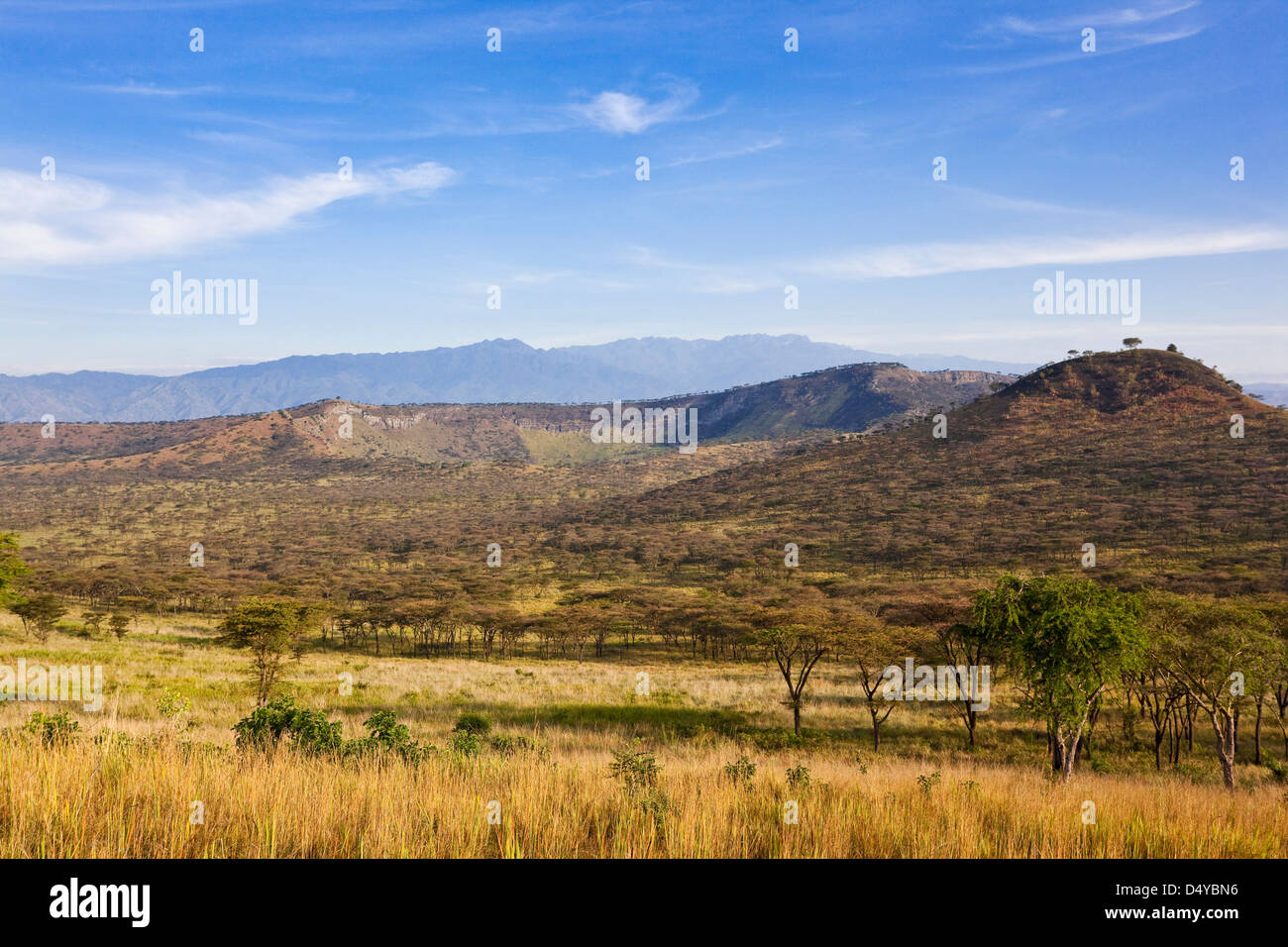 Albertine rift mountains hi-res stock photography and images - Alamy