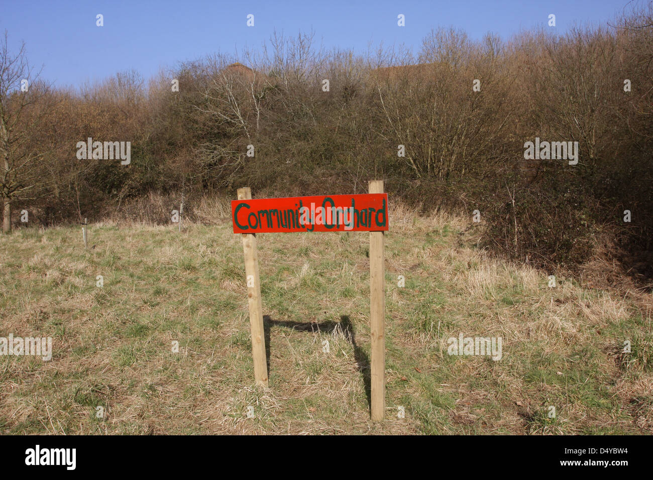 Hand crafted sign for a community orchard, there are a ew small young ...
