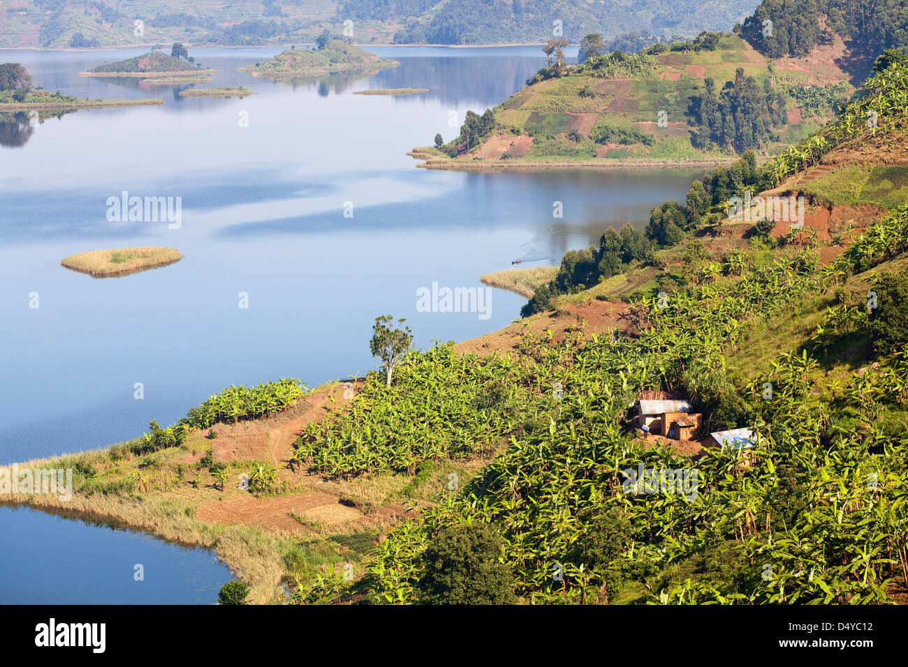 Lake Mutanda near Kisoro in Uganda. On the shoreline the land is ...