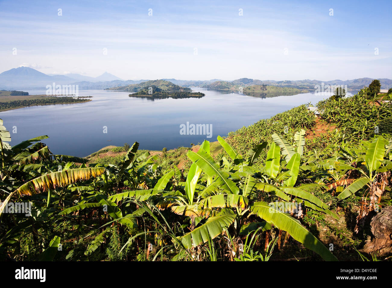 Lake Mutanda near Kisoro in Uganda. On the shoreline the land is ...