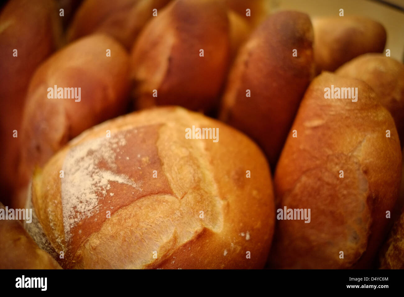 French boule bread roll surrounded by baguettes Stock Photo - Alamy