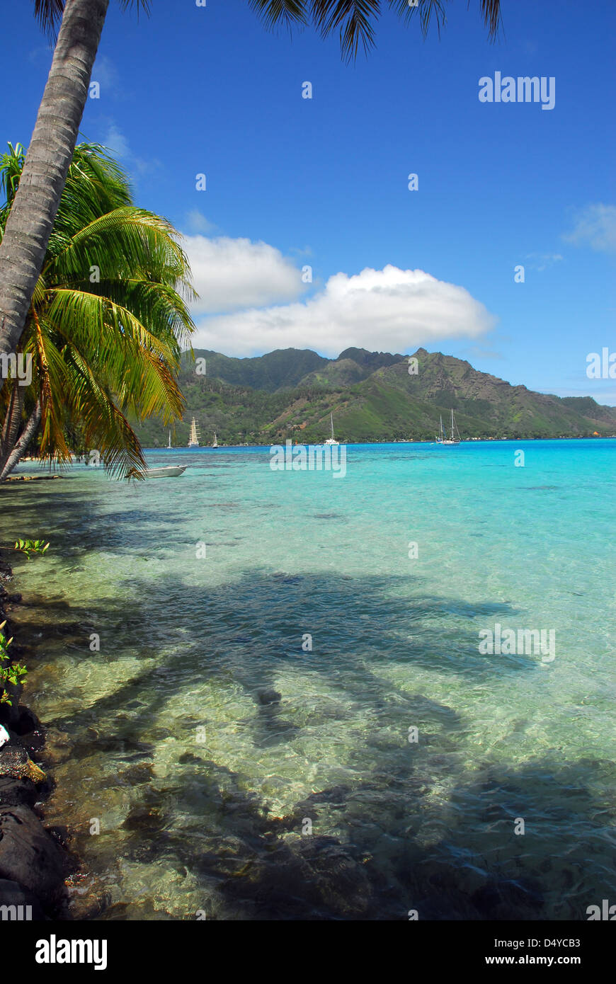 Moorea french polynesia hi-res stock photography and images - Alamy