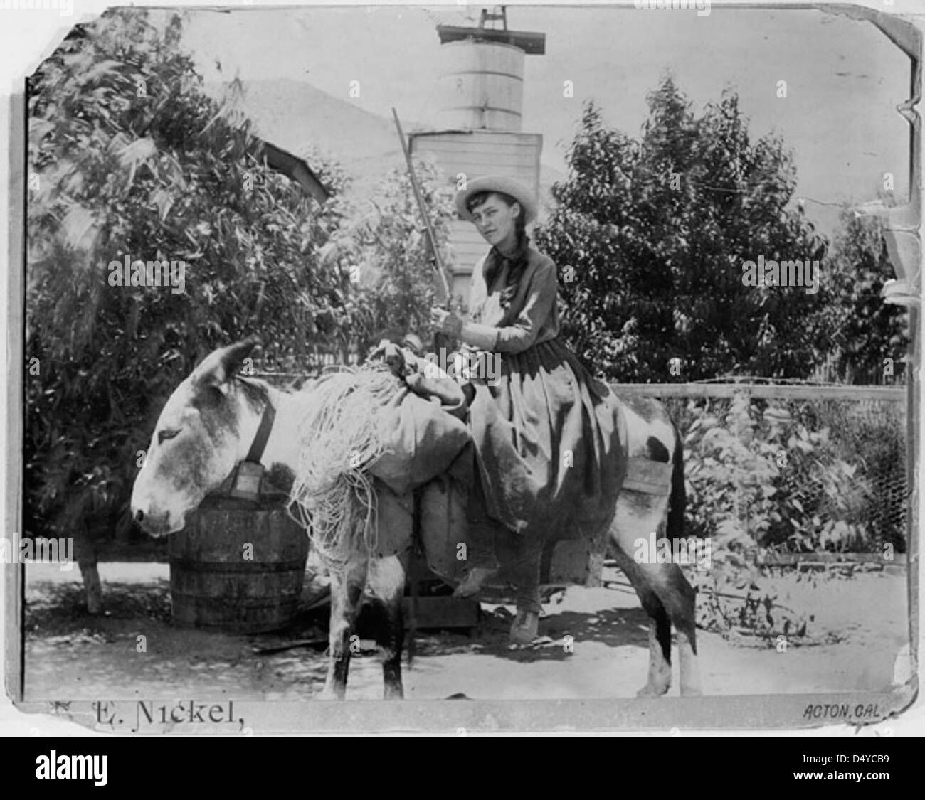 Lady lou hi-res stock photography and images - Alamy