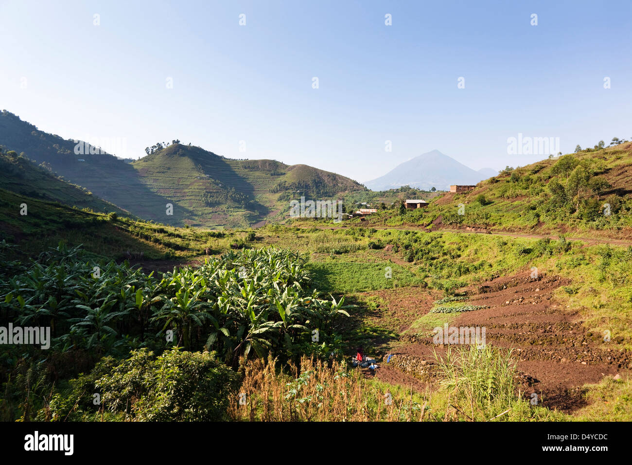 Kisoro hi-res stock photography and images - Alamy