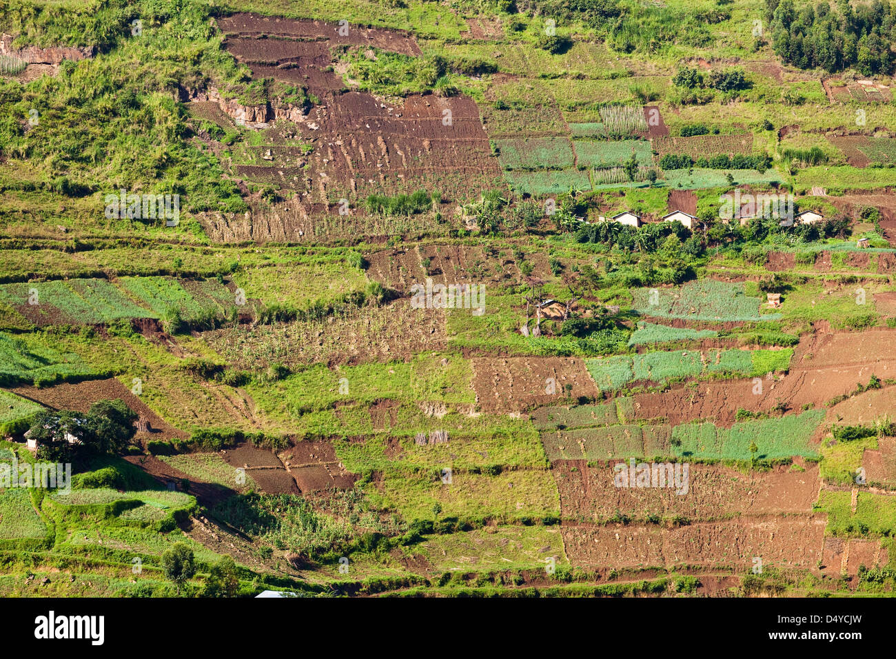 Kisoro hi-res stock photography and images - Alamy