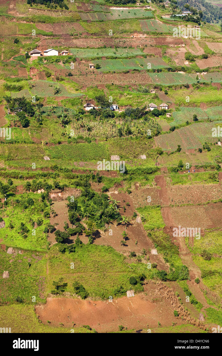 Kisoro hi-res stock photography and images - Alamy