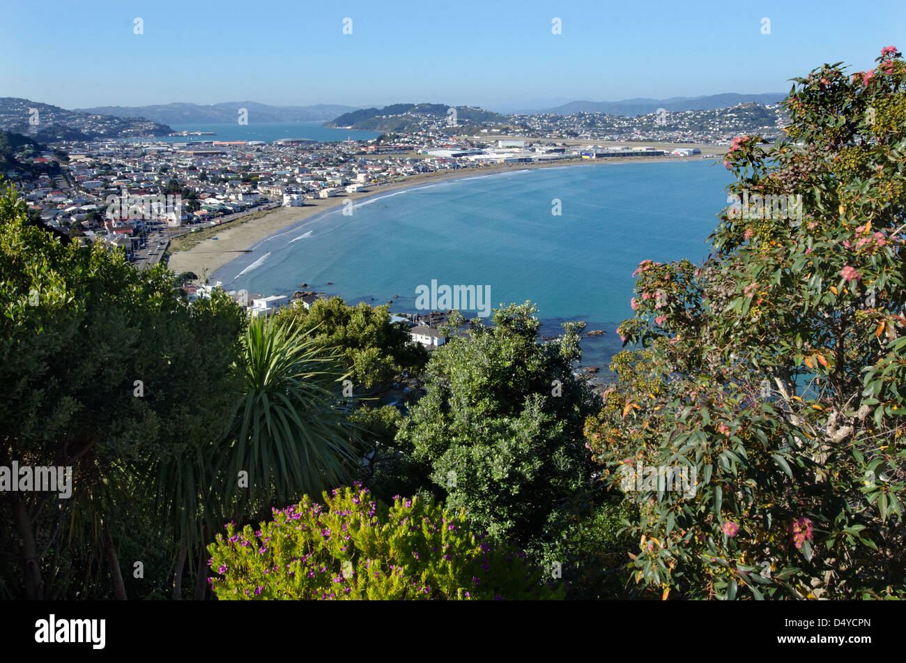 Lyall Bay New Zealand High Resolution Stock Photography and Images - Alamy