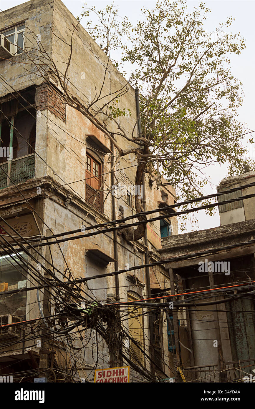 A tree growing out of a building. Dangerous wiring system Stock Photo ...