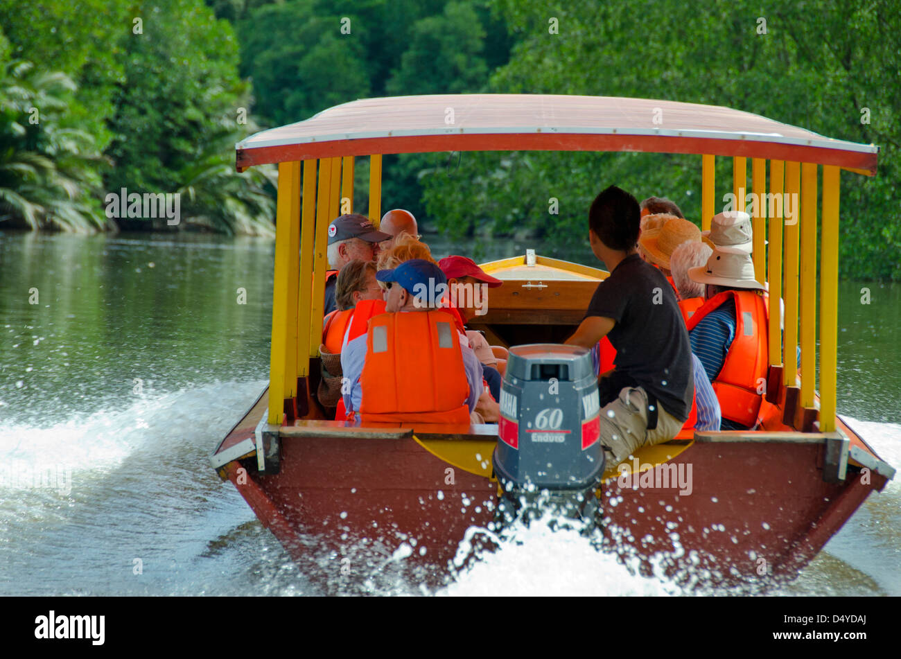 Borneo, Brunei. Tourist boat along mangrove forest along the Brunei ...
