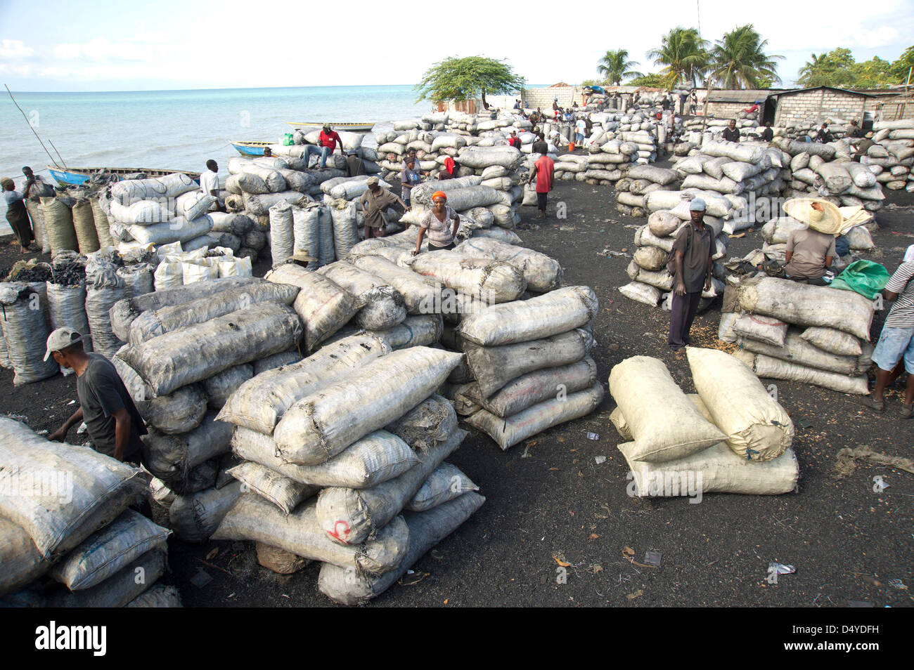 Causes of deforestation hi-res stock photography and images - Alamy