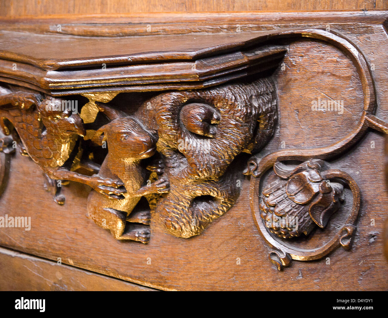 Woodcarving on misericord seats in Ripon Cathedral in Yorkshire England ...