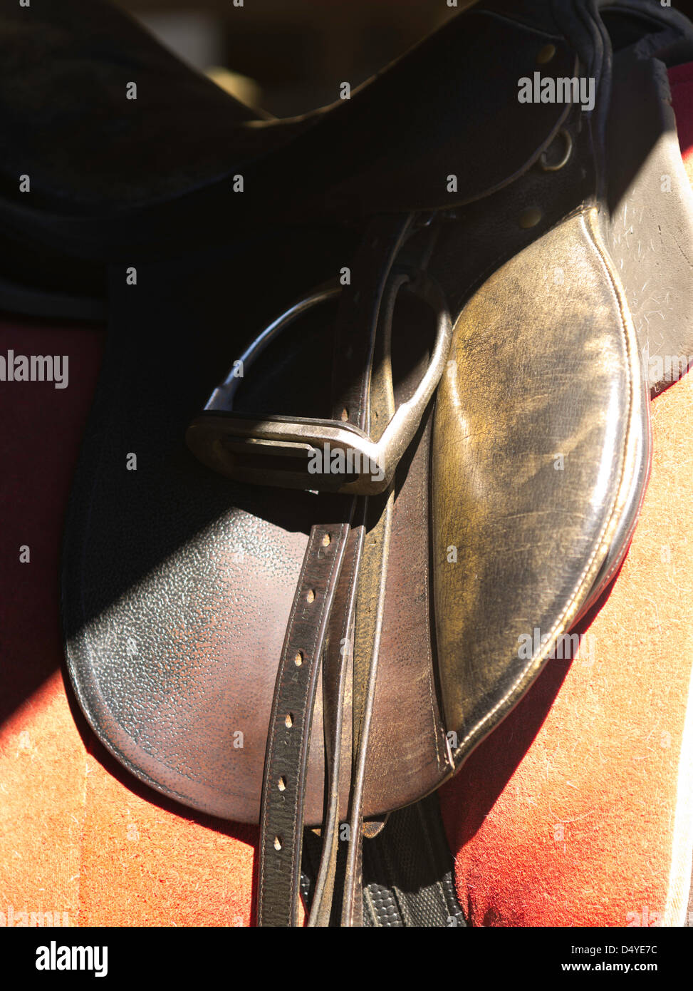 Tim mulholland illuminata photo hi-res stock photography and images - Alamy