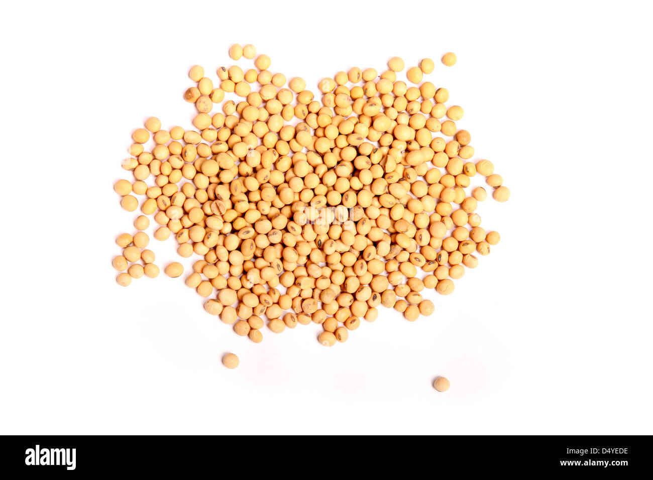 Dried Soy Beans on a white background Stock Photo - Alamy