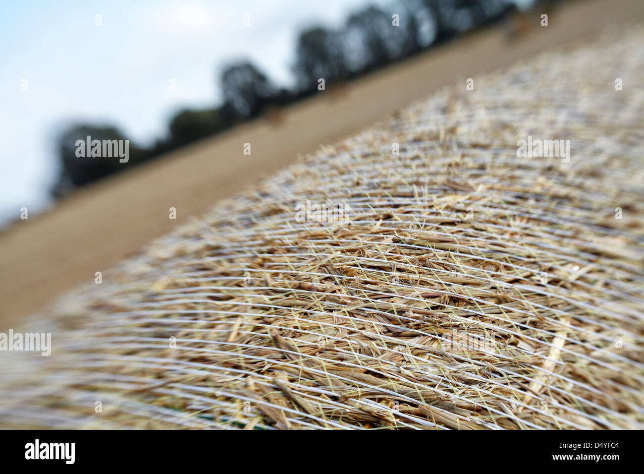 Round Bale Stock Photos & Round Bale Stock Images - Alamy