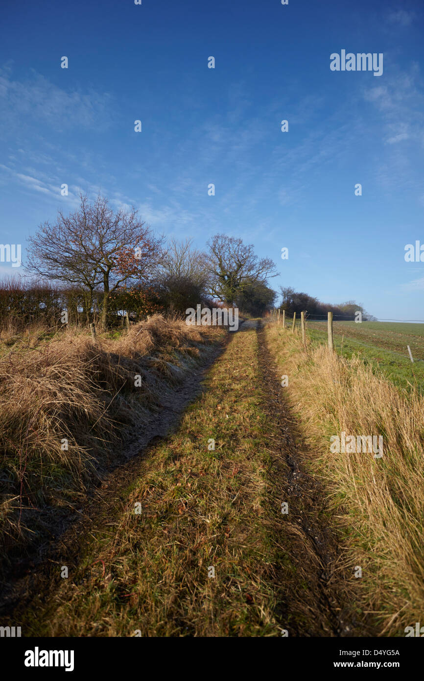 Farm track in Norfolk, UK in winter Stock Photo - Alamy