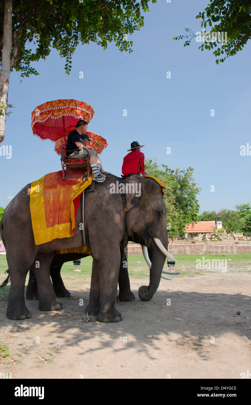Elephant driver hi-res stock photography and images - Alamy