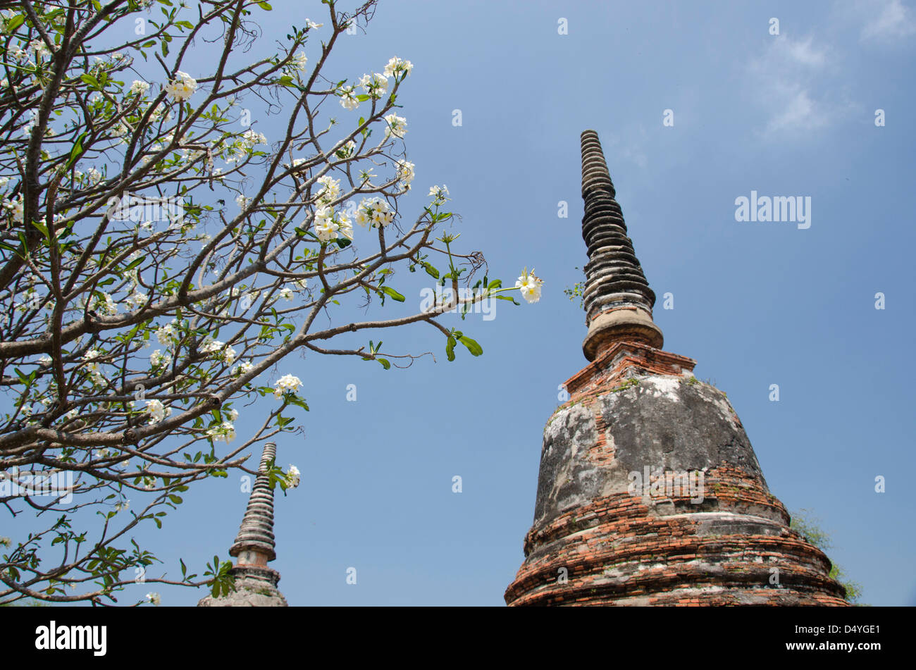 Bell shaped structure hi-res stock photography and images - Alamy
