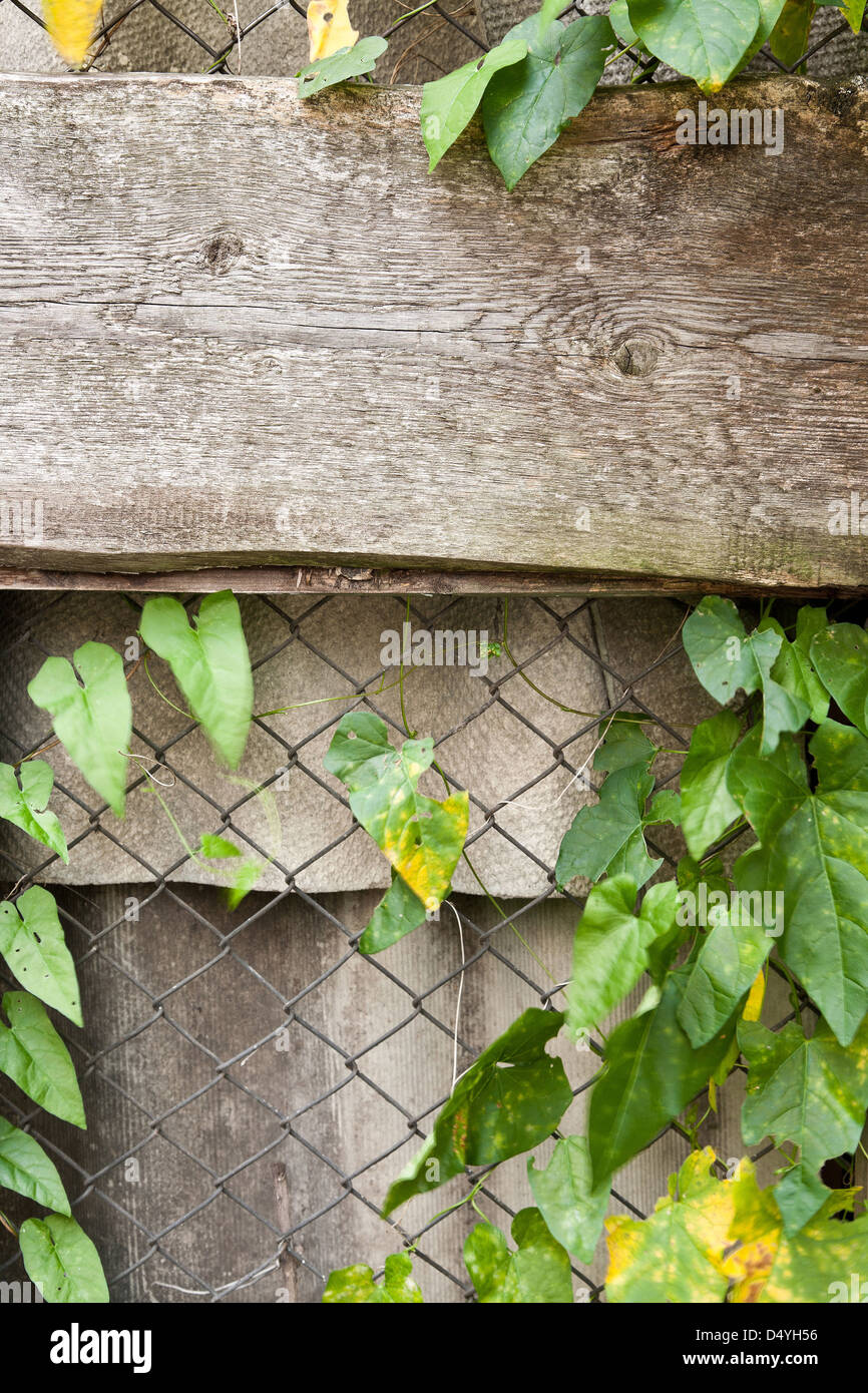 Timber billboard hi-res stock photography and images - Alamy