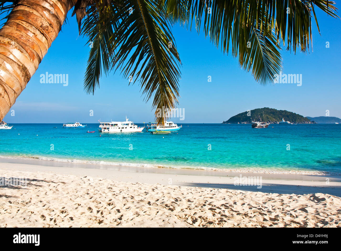 Tropical white sand beach with palm trees Stock Photo - Alamy