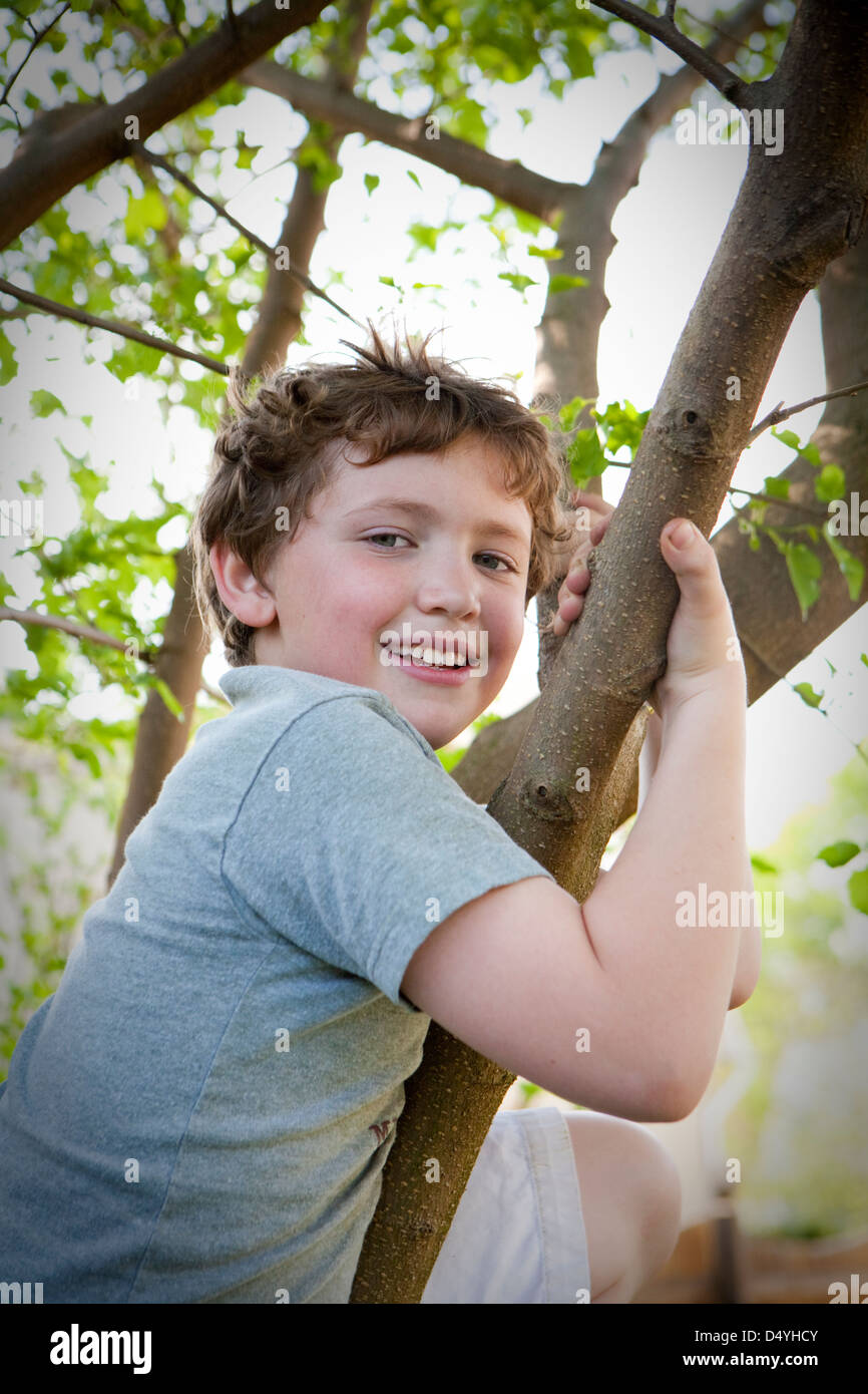 Portrait of a young smiling boy climbing a tree Stock Photo - Alamy