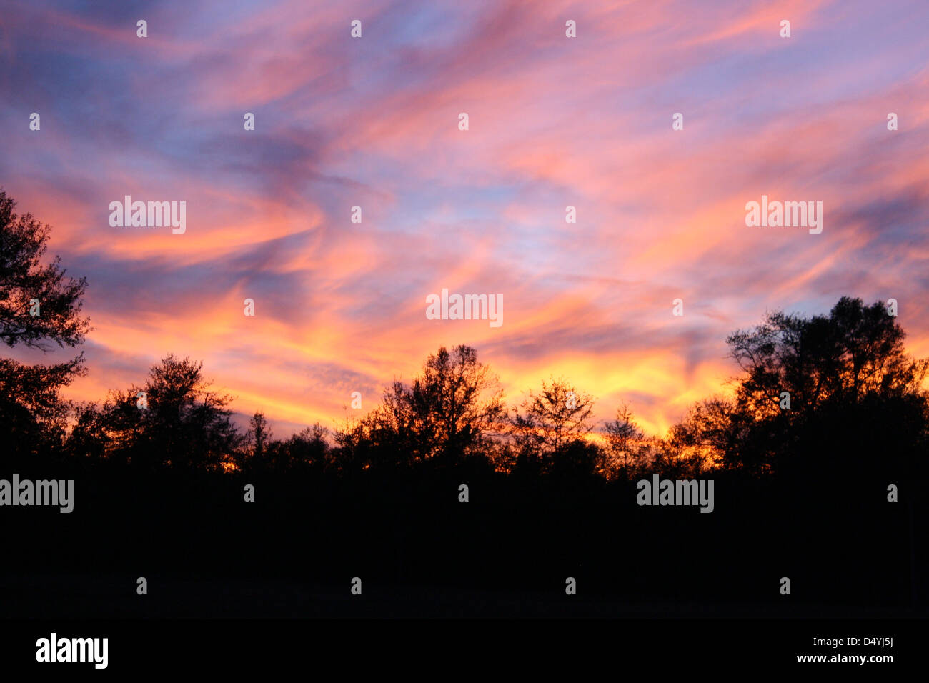 Florida sunset sky hi-res stock photography and images - Alamy