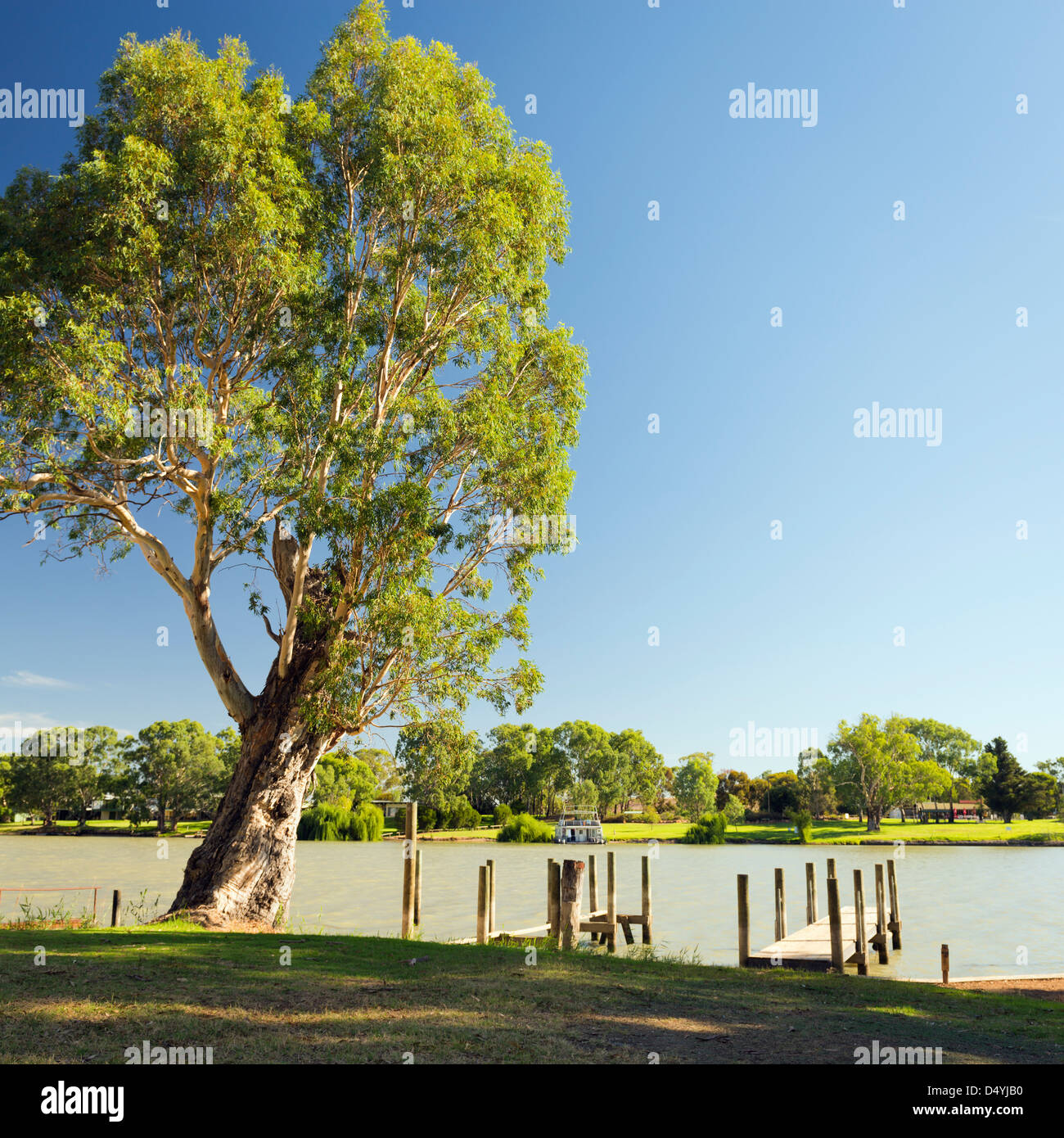 Wooden jetty along the Murray River, South Australia Stock Photo - Alamy