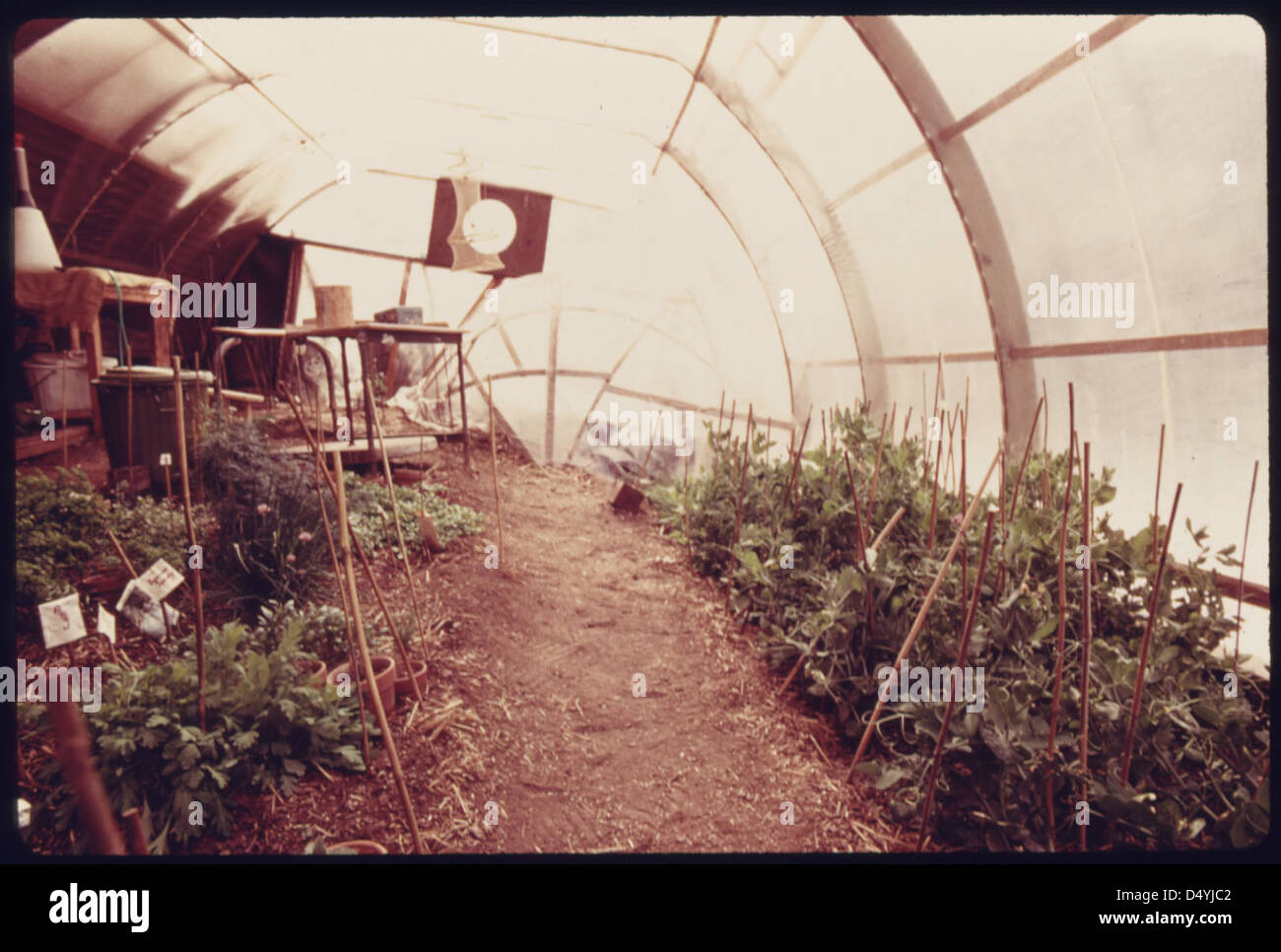 Peter Howell's solar greenhouse, constructed at an altitude of ...