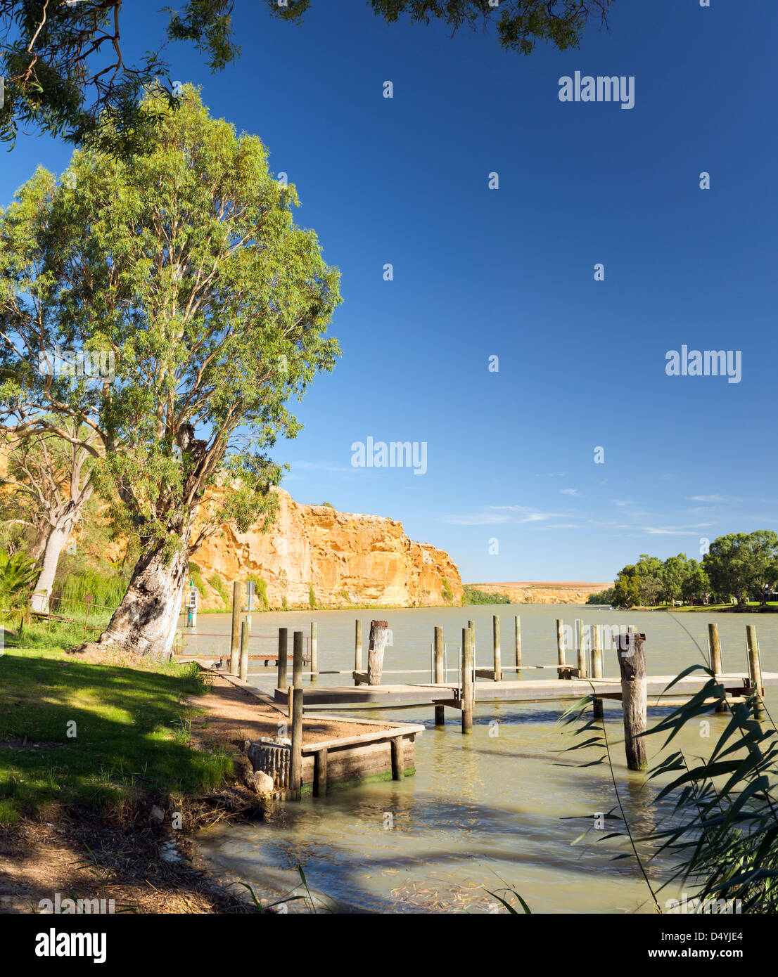 Wooden jetty along the Murray River, South Australia Stock Photo - Alamy