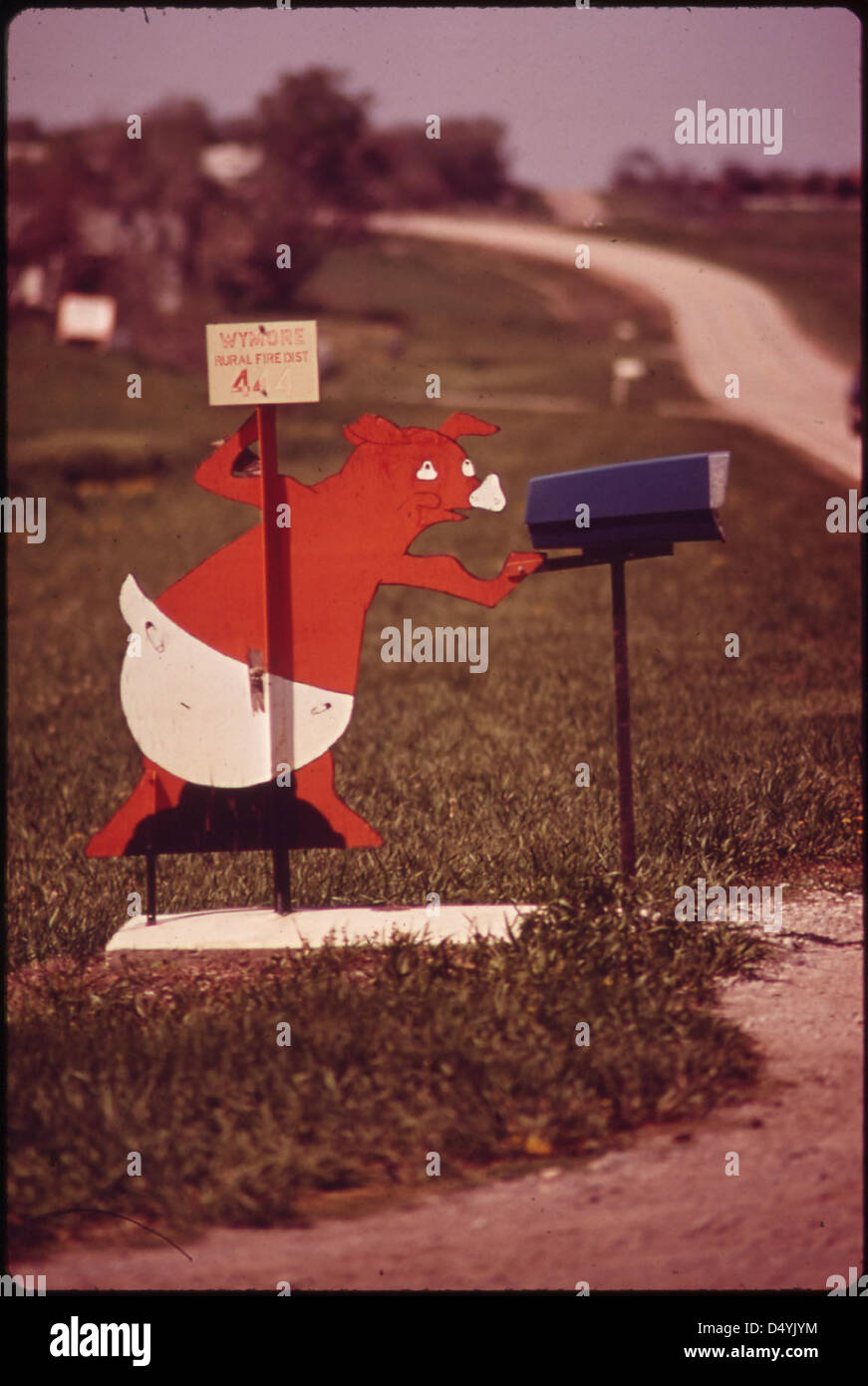 In May 1973, a pig is seen alongside a mail route south of Wymore ...