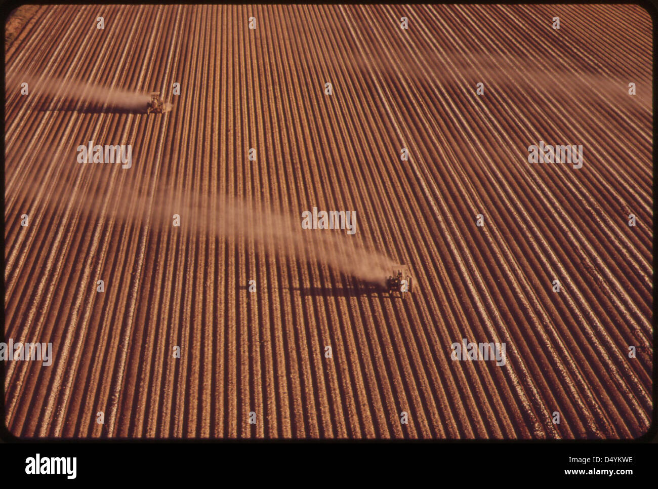 A photograph from May 1972, showing the process of fertilization in ...