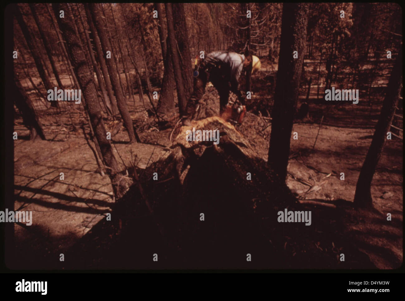 This 1973 photograph shows a post-fire salvage operation where a ...