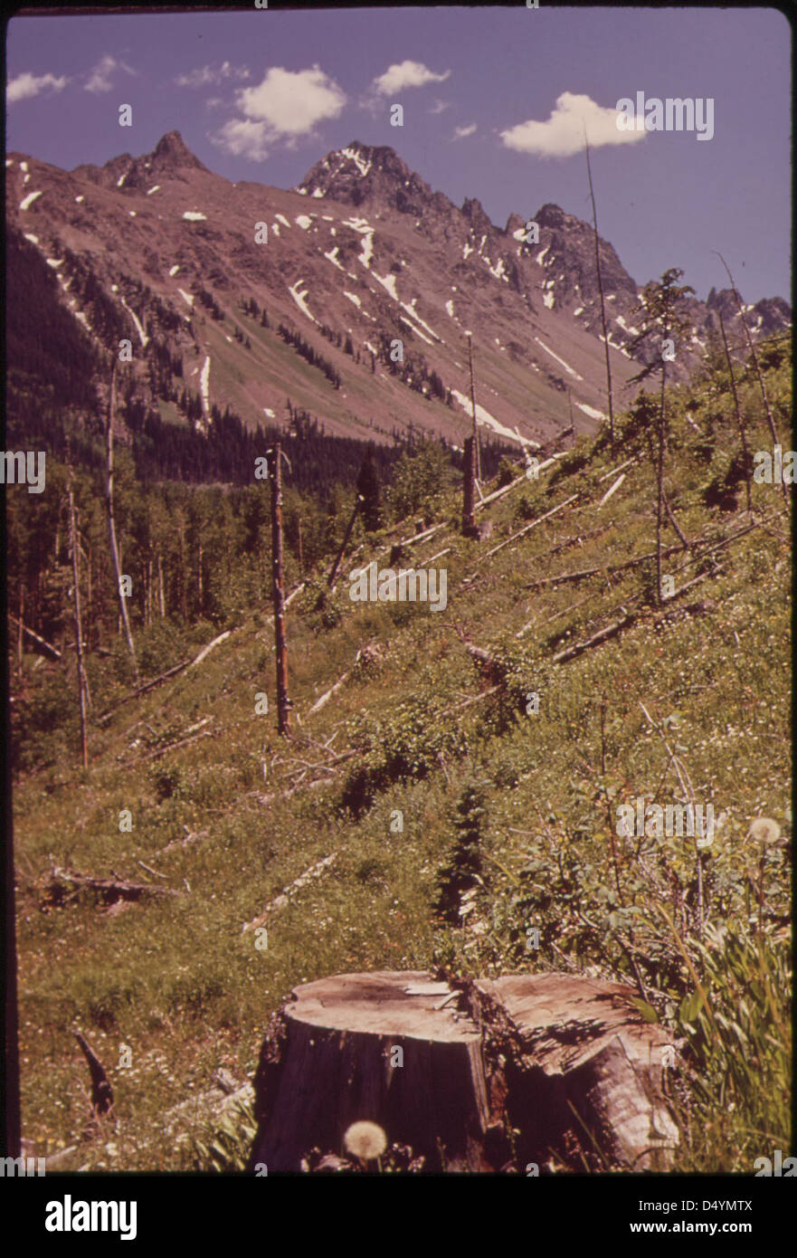 Environmental scars hi-res stock photography and images - Alamy