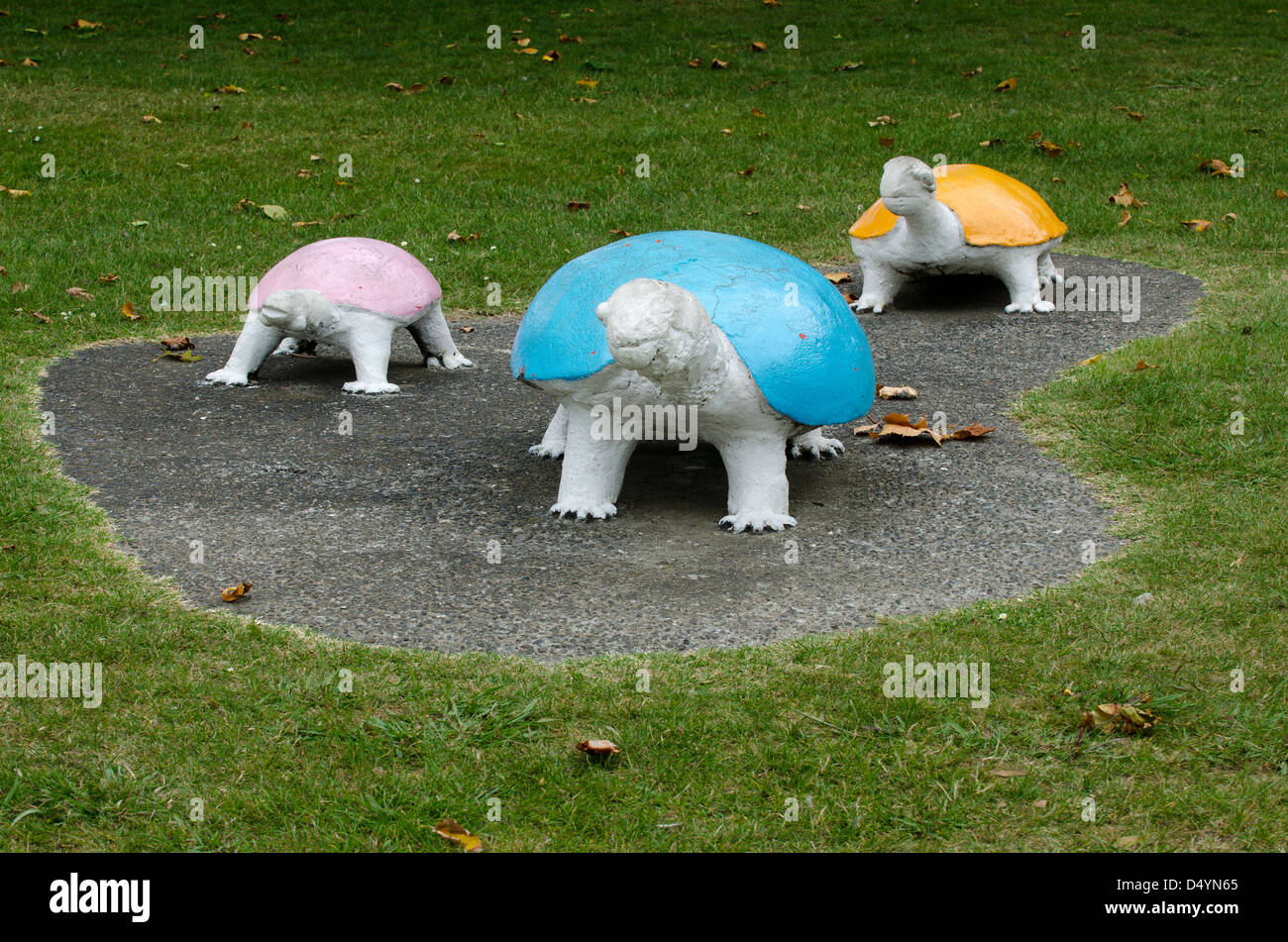 Marsh Turtles High Resolution Stock Photography and Images - Alamy